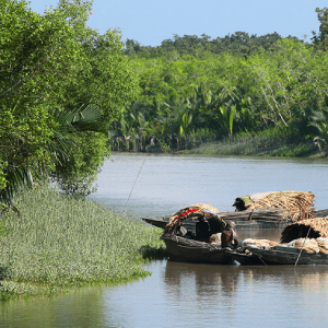 Mangrove Collection | Natural Fish & Pure Honey